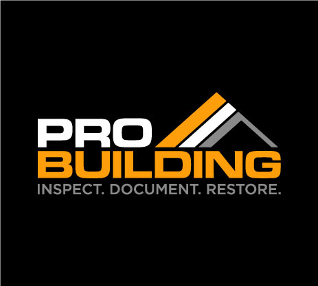 Pro Building
